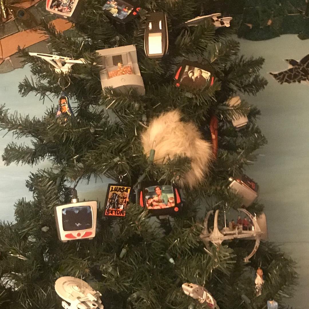 Hallmark Star Trek Display #44 | Hallmark Star Trek Ornaments