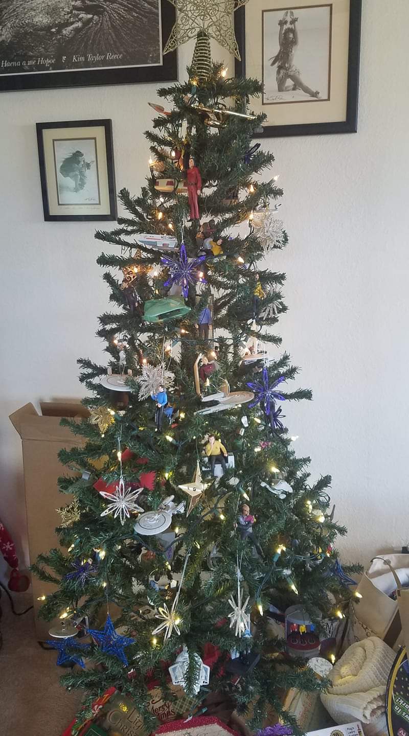 Hallmark Star Trek Display #329 | Hallmark Star Trek Ornaments