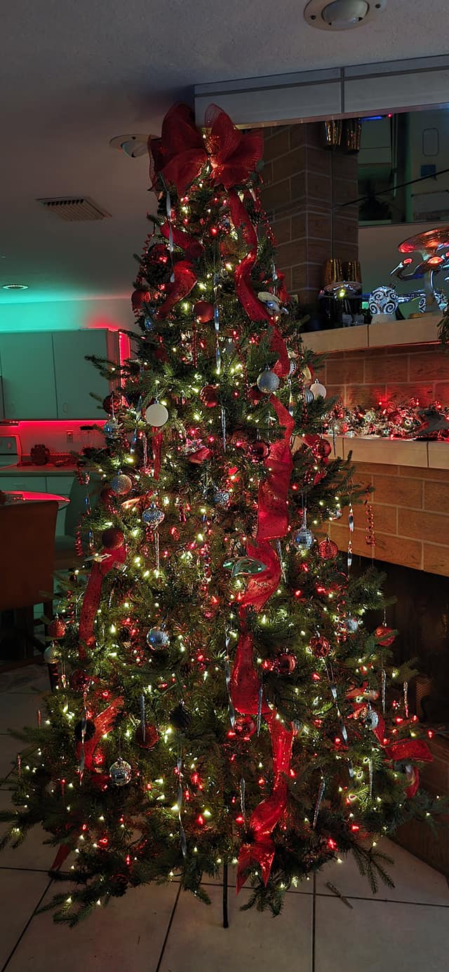 Hallmark Star Trek Display #625 | Hallmark Star Trek Ornaments